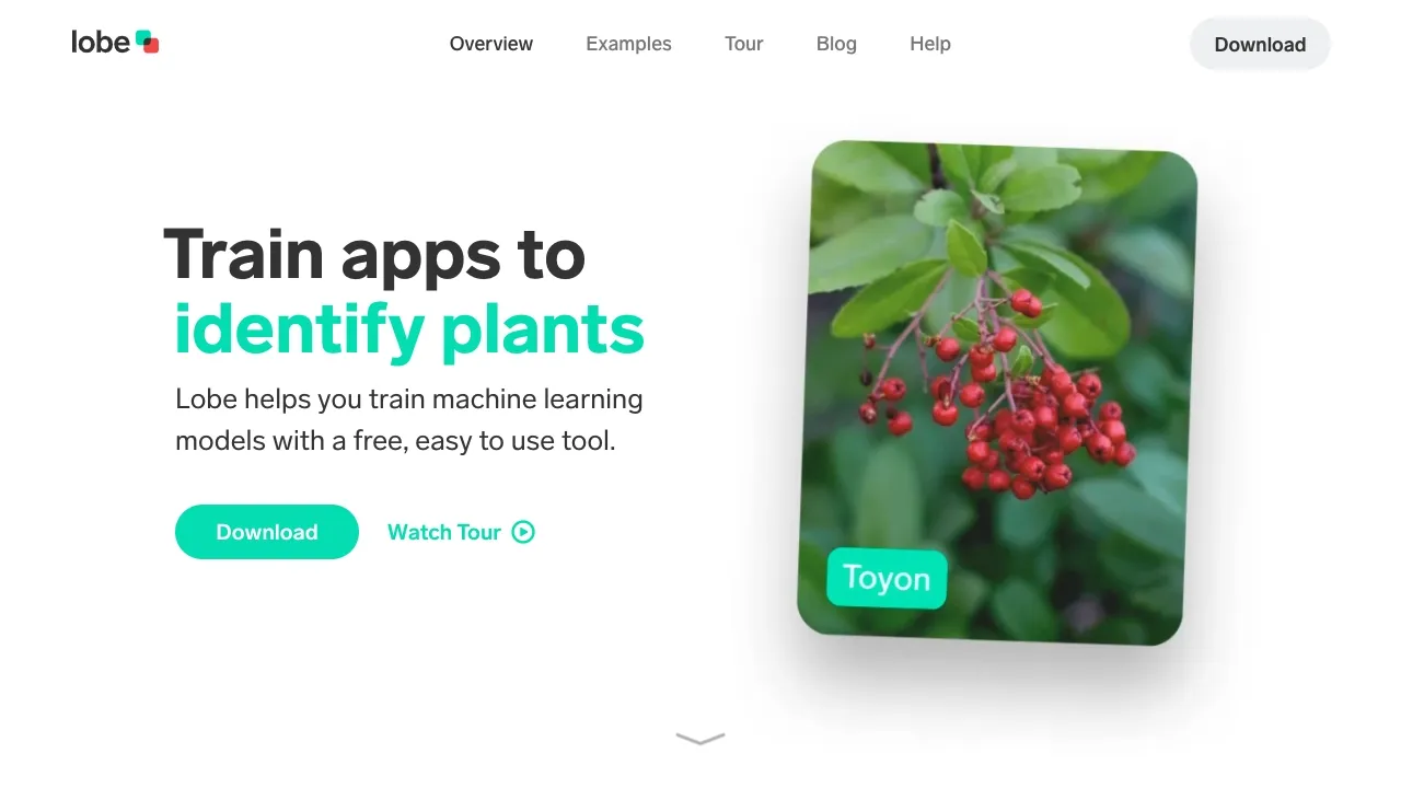 Lobe – Simplify Machine Learning with No Code | Creati.ai